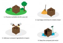 Organic waste to wealth – Make a Compost Pit at Home!