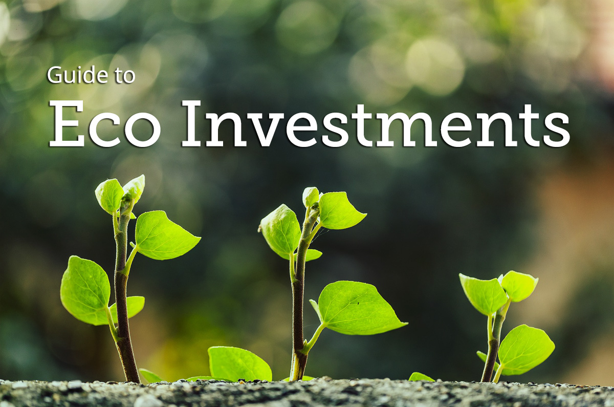 Eco Investments: Guide to Invest in Eco-friendly Companies