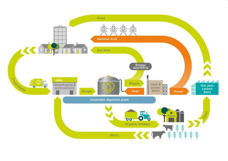 Transforming Food Waste into Renewable Energy: Anaerobic Digestion Path ...
